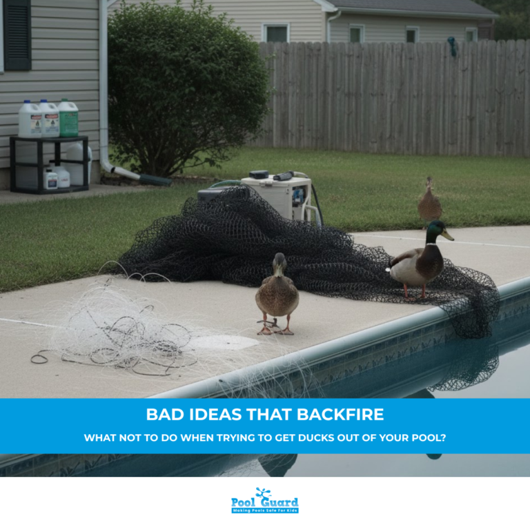 How to Keep Ducks Out of Pool (What Actually Works)